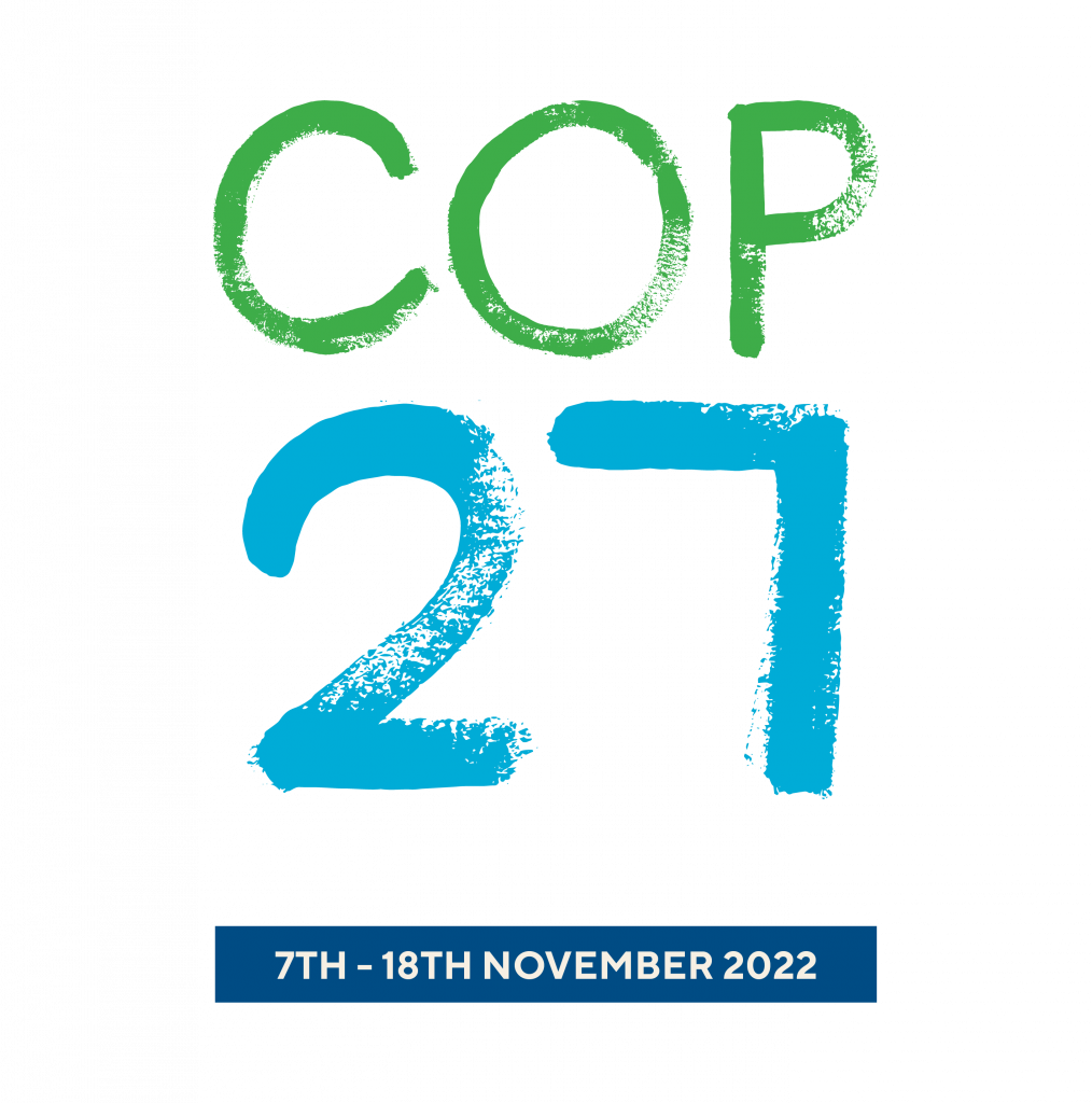 27th session of the Conference of the Parties (COP 27)