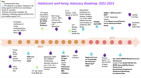 Advocacy roadmap for adolescents' health and well-being