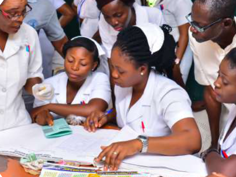 PMNCH Champions Interprofessional Collaboration to Improve Maternal and ...